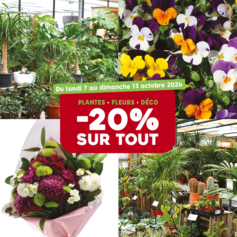 Du 7 au 13 octobre 2024 : -20% dans les magasins Tropix* - Tropix